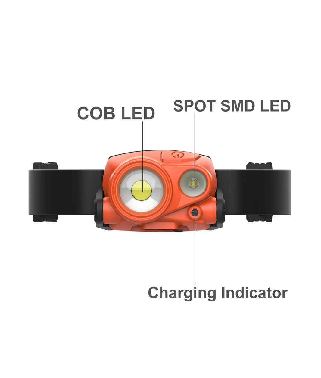 New Arrivals – CLA Lighting